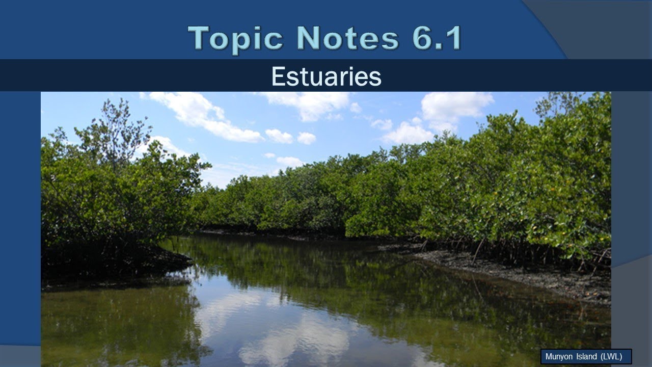 Topic Notes 6.1: Estuaries