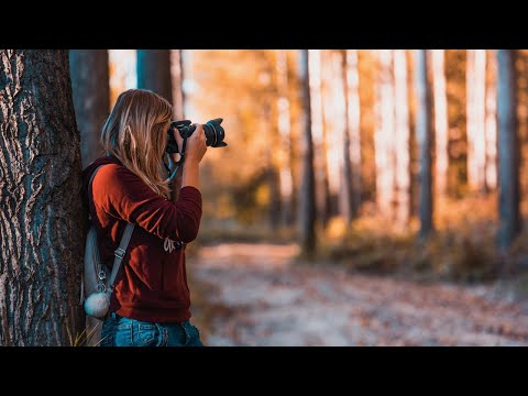 Top 5 Best Camera For Nature Photography