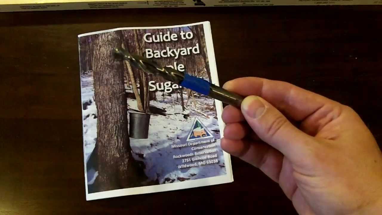 Food: #2 Maple Tree Tapping