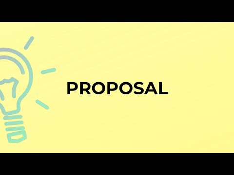 What is the meaning of the word PROPOSAL?