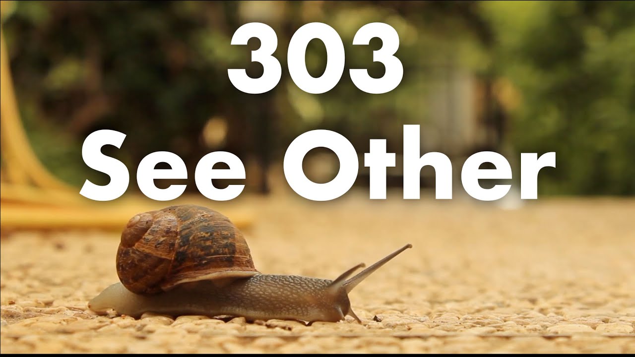 303 See Other