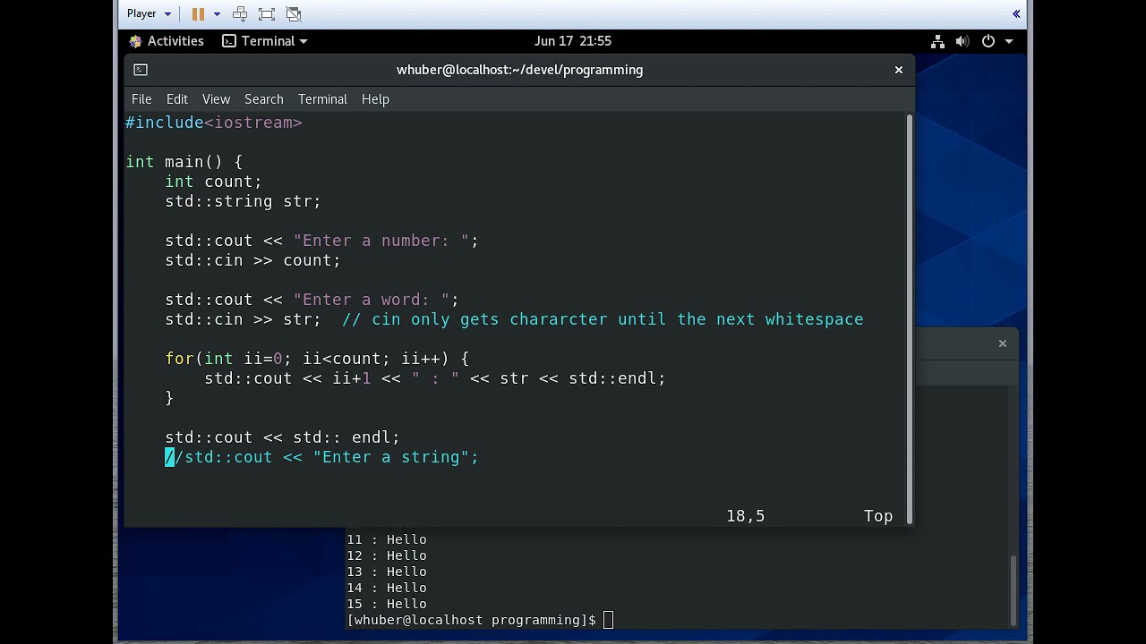 cppio.cpp - Input & Output in C++