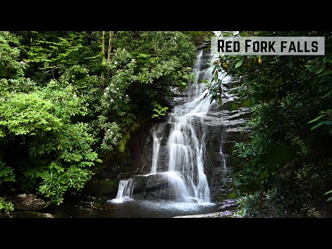Hidden Gems In Tennessee: A Backroads Road Trip