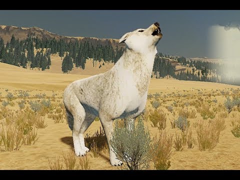 Steam Community :: WolfQuest: Anniversary Edition