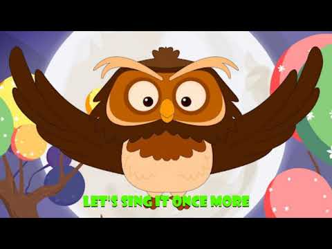 A WISE OLD OWL