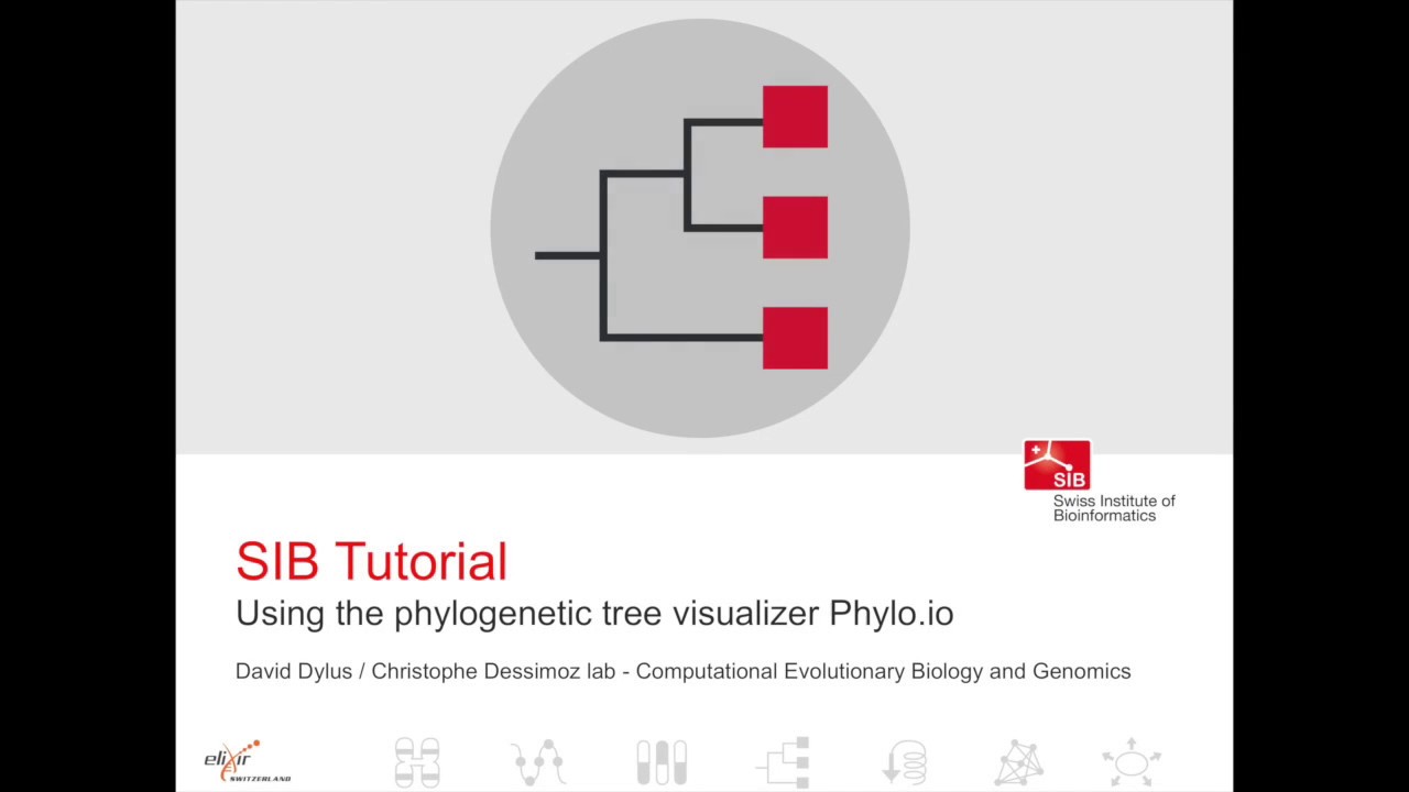 Using the phylogenetic tree visualiser Phylo.io