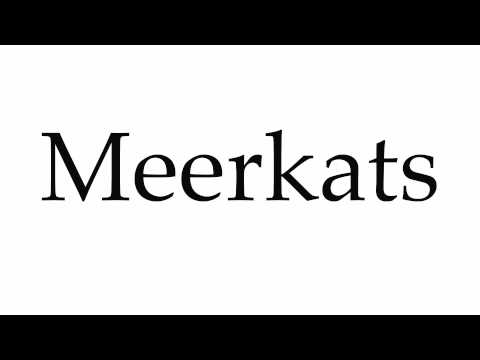 How to Pronounce Meerkats