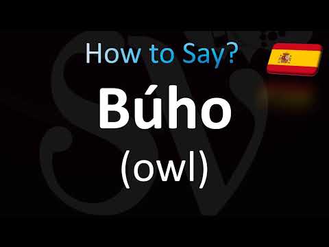 How to Pronounce Owl (Búho) in Spanish