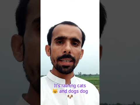 Let's talk about rain 🌧️☔