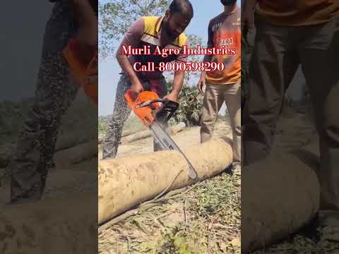 Tree Cutter - Tree Cutting Machine Latest Price, Manufacturers & Suppliers