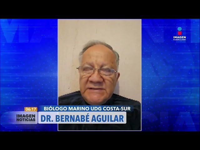 Actualidad - ¿Quién era María Fernanda, mujer atacada por un tiburón en Melaque, Jalisco?