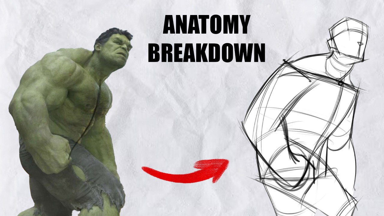 Simplified Character Anatomy - Drawing tips