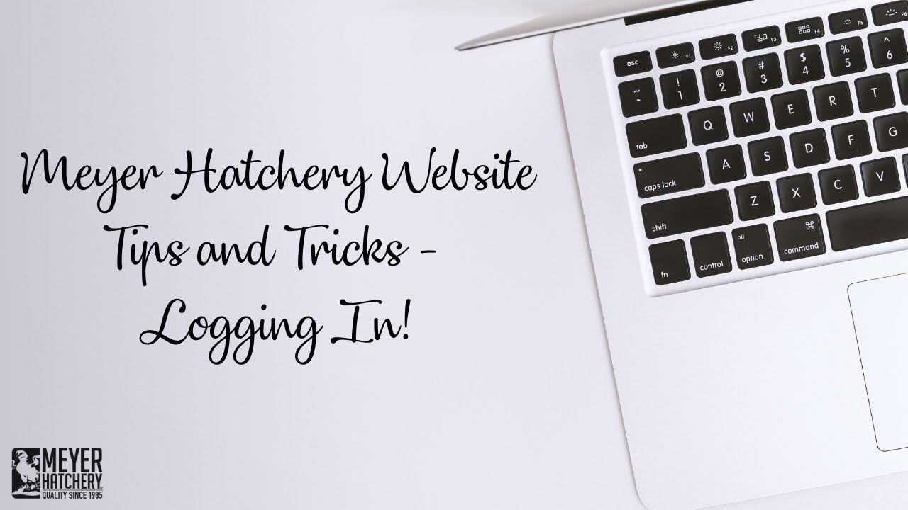 Meyer Hatchery Website Tips and Tricks - Logging In!