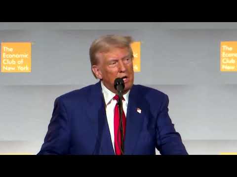 Trump proposes role for Musk on an 'efficiency commission' | REUTERS