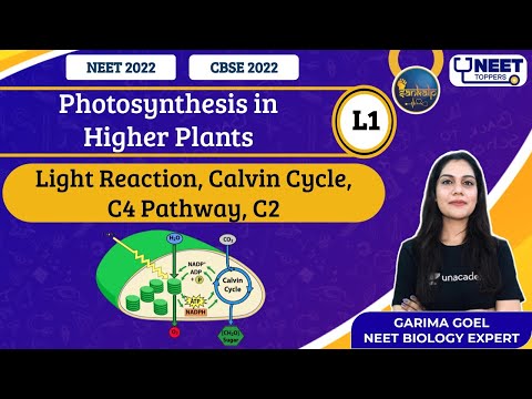 Sankalp: Photosynthesis in Higher Plants L-1 - NEET Toppers - Garima ...