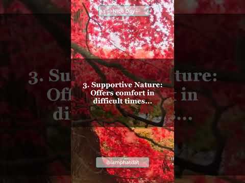 5 Signs of a compassionate person. #shorts #subscribe #video #viral