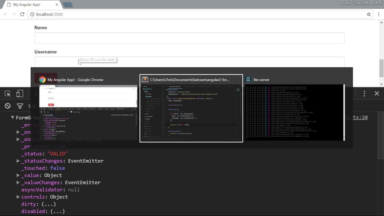 [Angular 2+ Forms and Validation] Lesson9   Reactive Form Data Model