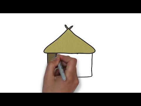 big bim little bim – Phoenix