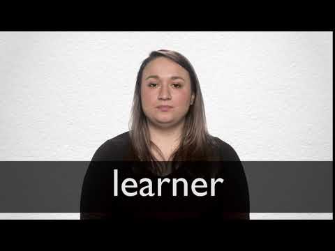 LEARNER Synonyms | Collins English Thesaurus