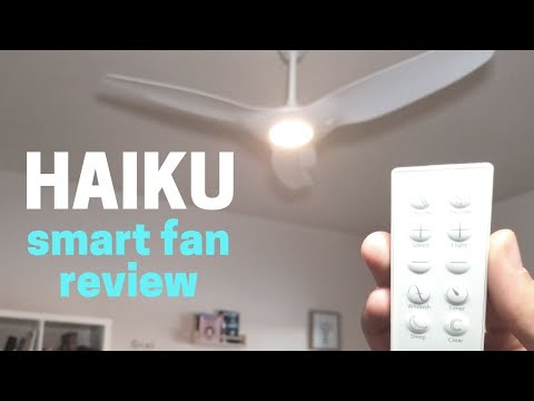 Haiku L Series Smart Fan Review: "Alexa, turn on the fan"