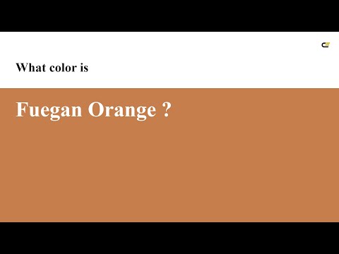 Fuegan Orange color #c77e4d hex color - Orange color - Cool color c77e4d