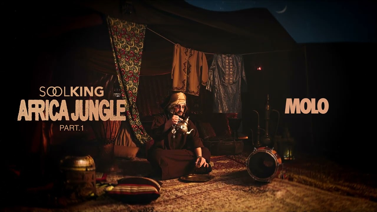 Lyrics & Translations of MOLO by Soolking | Popnable