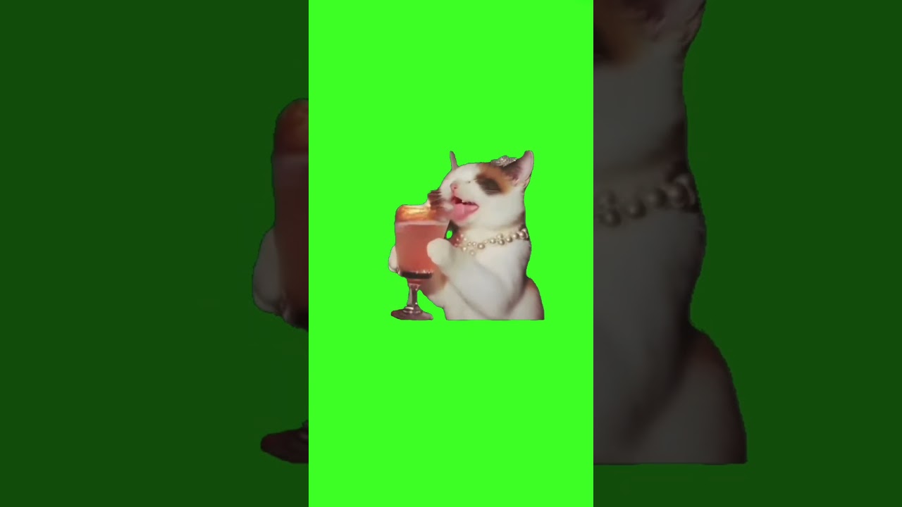 This is totally real and not Ai! Laughing and drinking cat! #greenscreen #cat #ai
