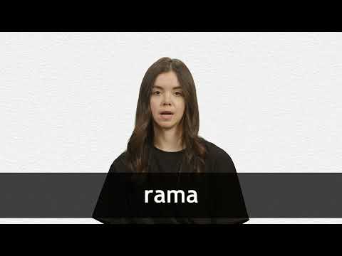 English Translation of “RAMA” | Collins Spanish-English Dictionary