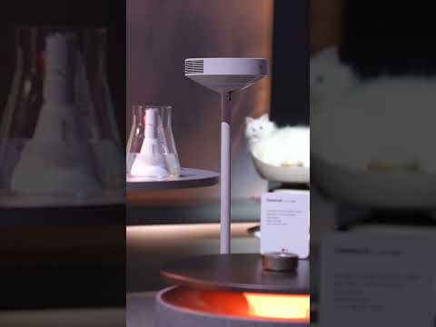 This LG gadget is a projector, bluetooth speaker and a mood lamp all in one.