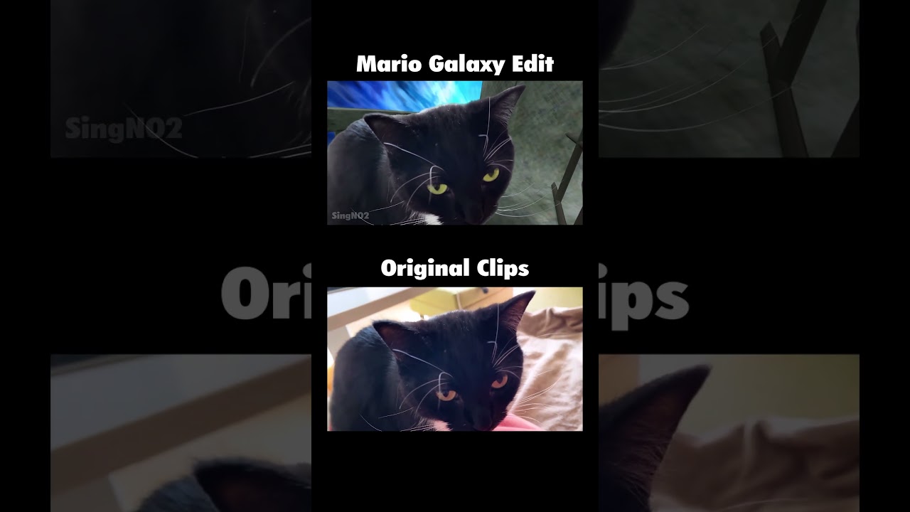 Uni the Cat in Super Mario Galaxy   -    Comparison