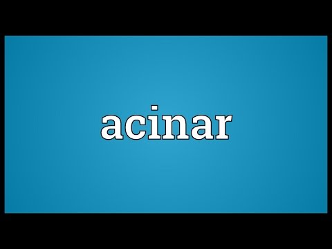 Acinar Meaning