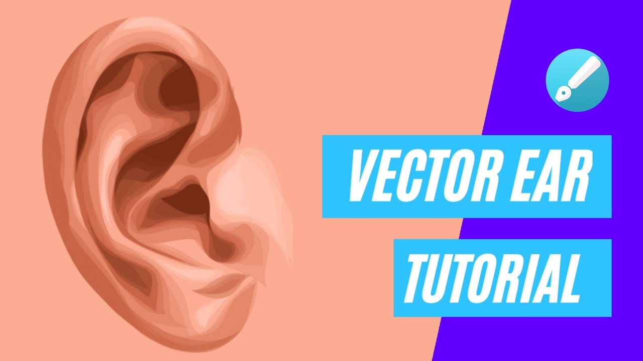 How to Illustrate Realistic Ears in Vector Art