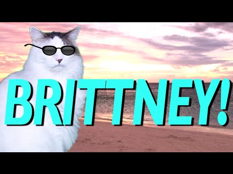 HAPPY BIRTHDAY BRITTNEY! - EPIC CAT Happy Birthday Song