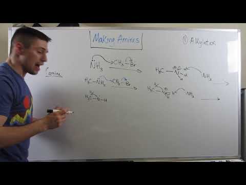 Simple Strategies: Reactions to Make Amines