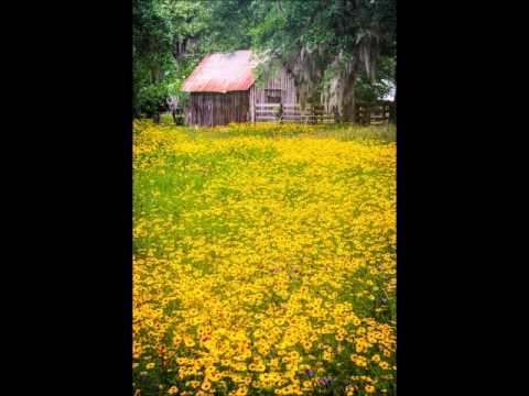 David R. Hawkins - Virtues: The Spiritual Foundation