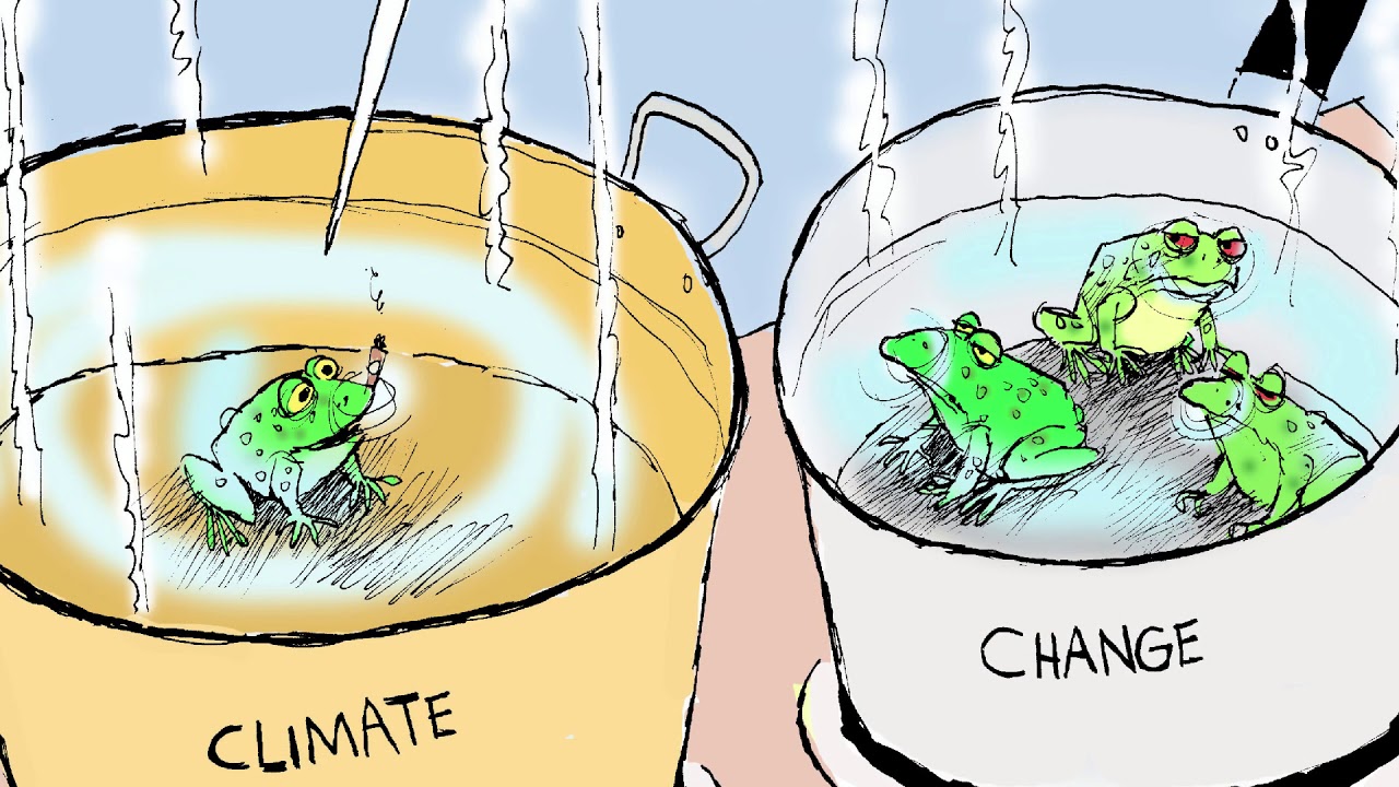7 scathing cartoons about the UN's climate-change report