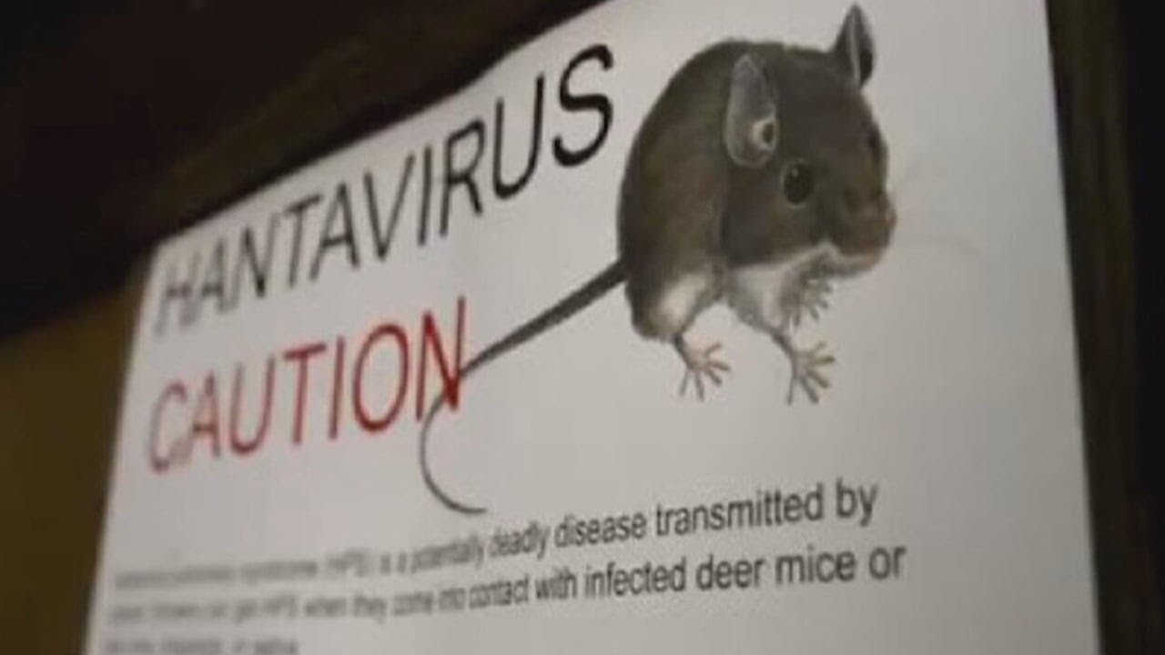 Two hantavirus cases confirmed in Nevada