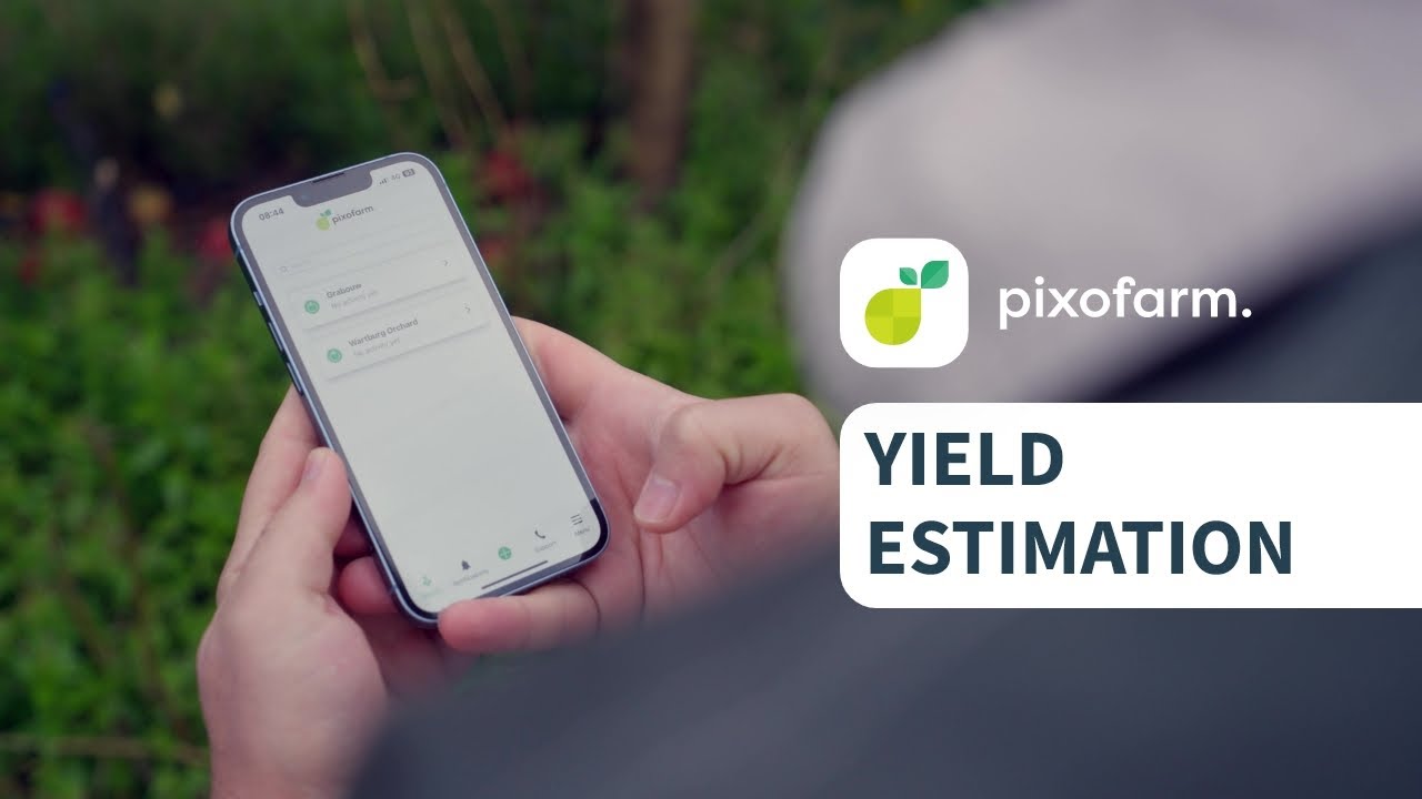 Pixofarm | Yield Estimation