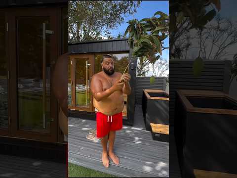 God is Great ✨ DJ Khaled - God Did #djkhaled #shorts