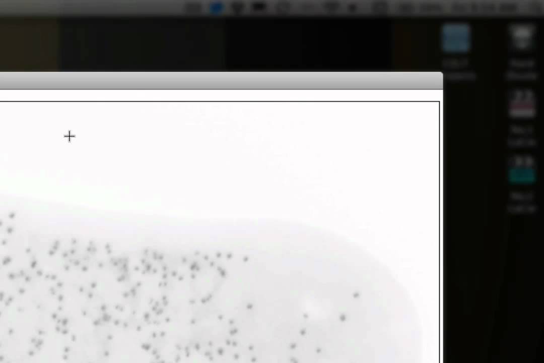 Using ImageJ to Measure Surface Area