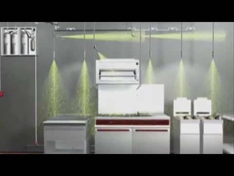 Ansul Restaurant Fire Suppression System R102