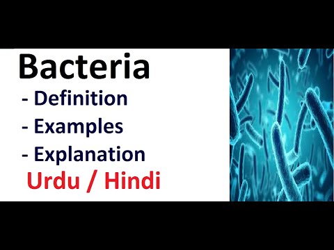 What is Bacteria? |Microbiology| Urdu / Hindi