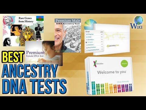 7 Best Ancestry DNA Tests 2017