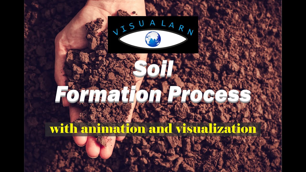 Soil forming process in detail - with animation and visualization.