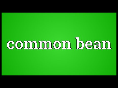 Common bean Meaning