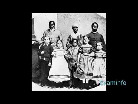 The Mulatto in the United States:(1919) Edward Byron Reuter(audiobk)