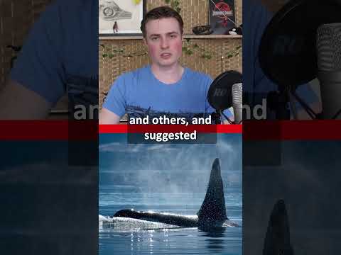 Two New Species of Killer Whales Have Been Named!