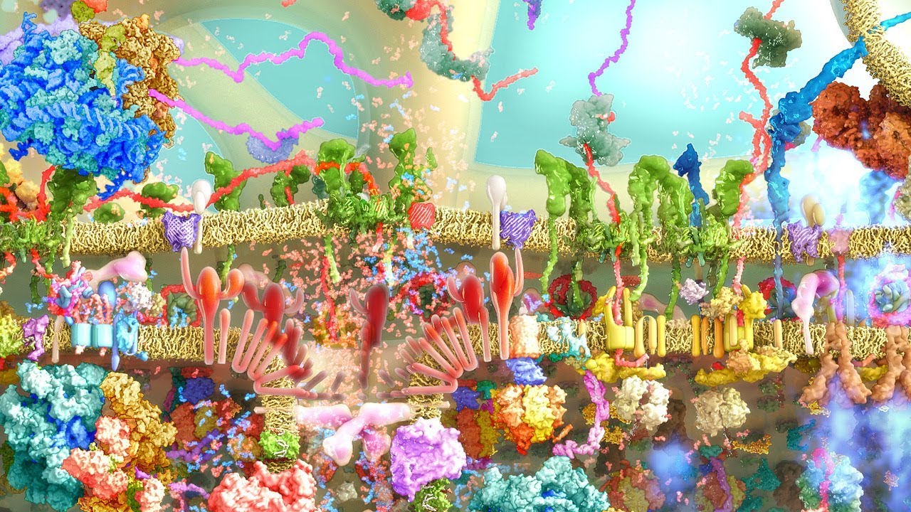 Cellscape showreel 2019