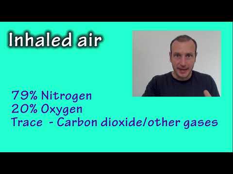 The Respiratory System GCSE PE  - TK Physical Education
