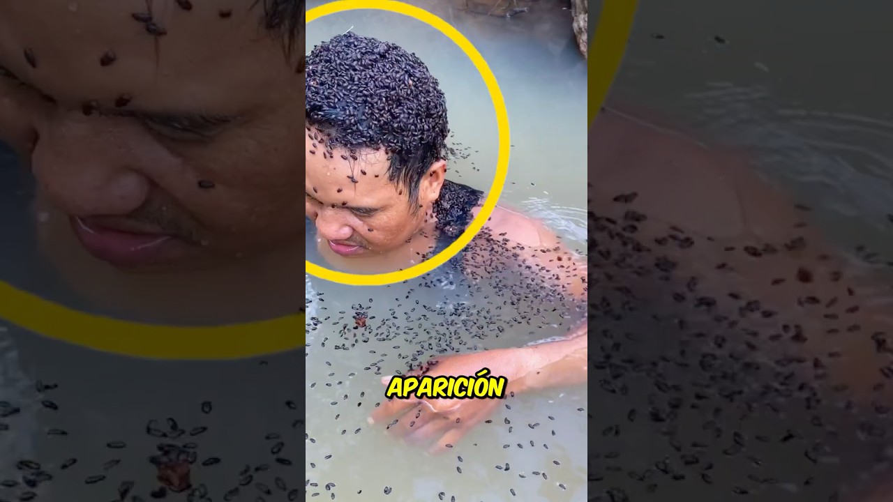 If you shampoo daily, be careful! 😨